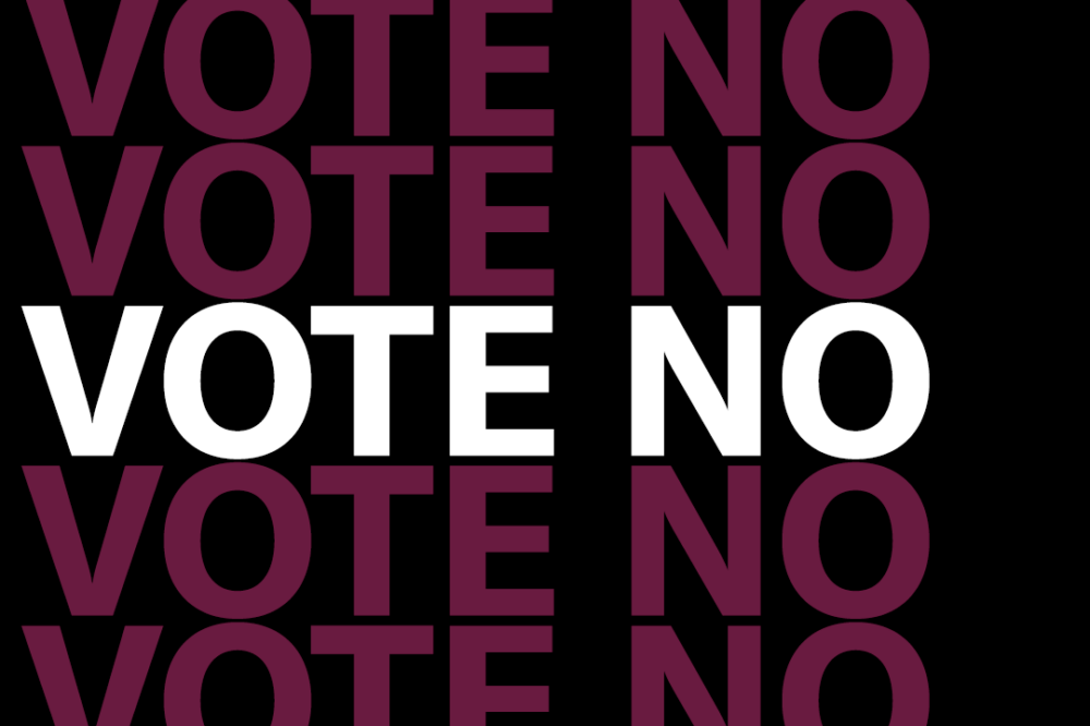 Vote No in November - ACLU of Wisconsin